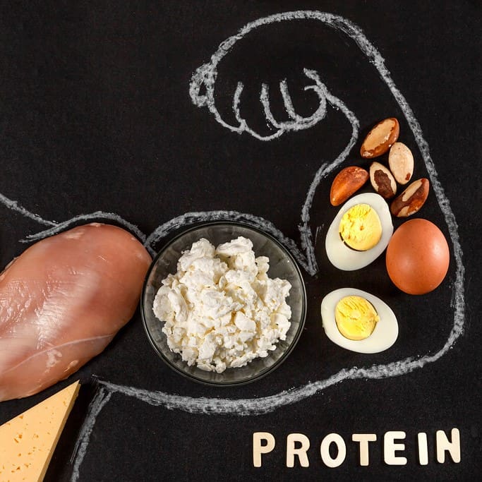 The Power of Protein: Health and Performance